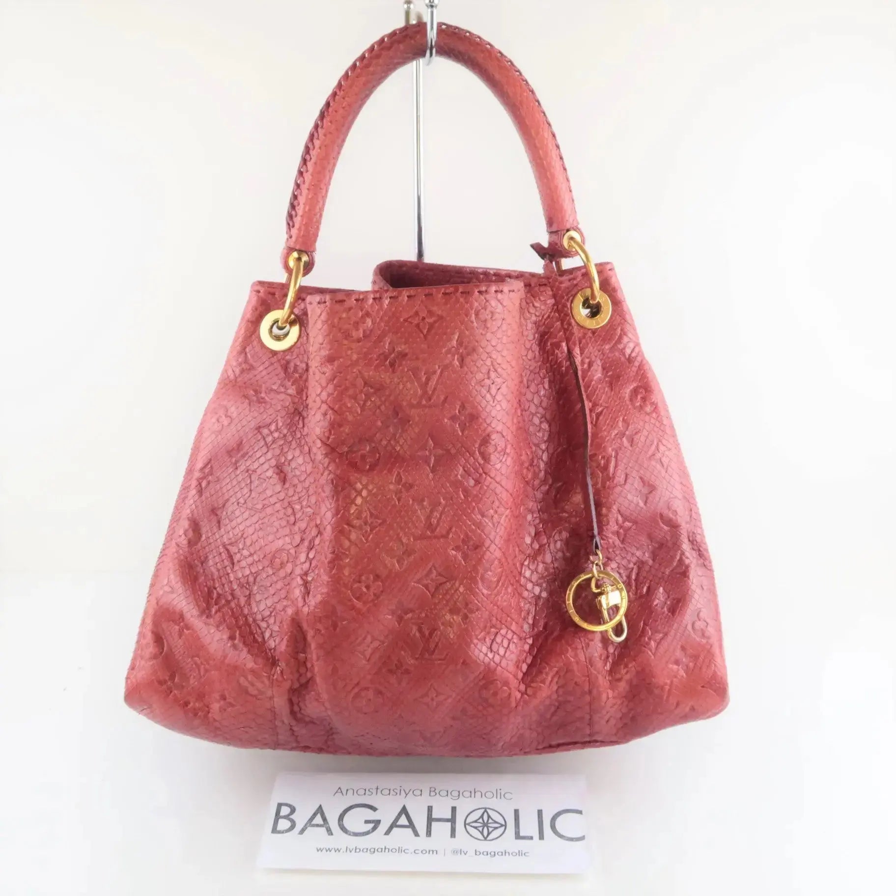 Louis Vuitton Limited Edition Artsy MM Python Bag – Bagaholic